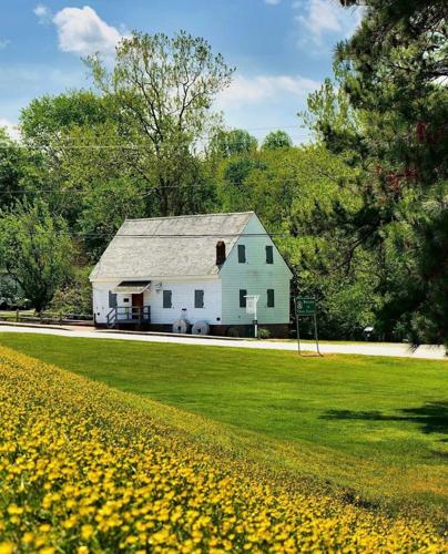 Honoring ancient grains | News | myeasternshoremd.com