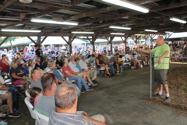 A week of fun at Queen Anne's County fair | News | myeasternshoremd.com