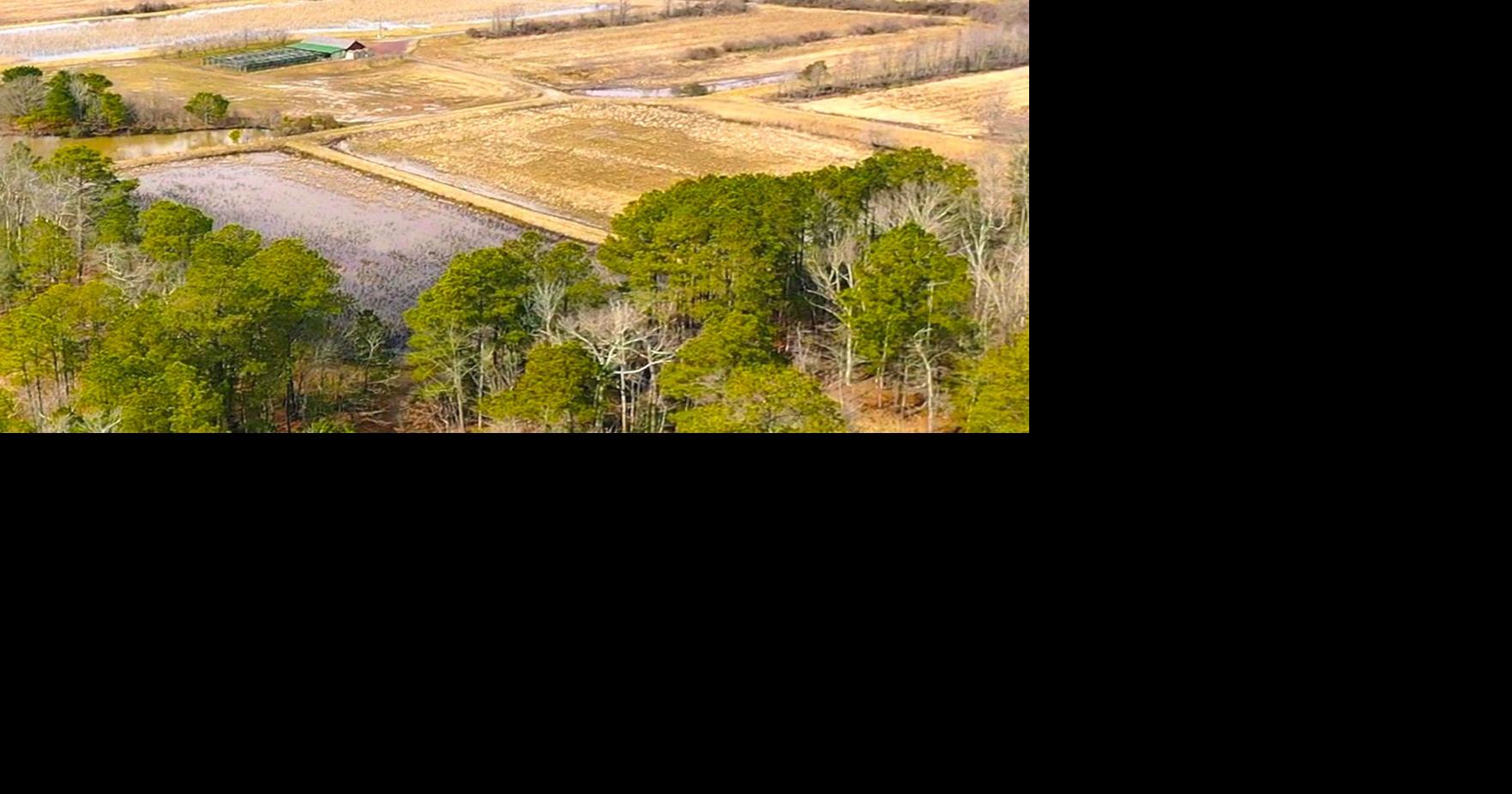 ESLC celebrates Tudor Farms conservation easement | News ...