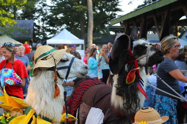 Getting wild at the Pretty Animal Contest at Queen Anne's Fair ...