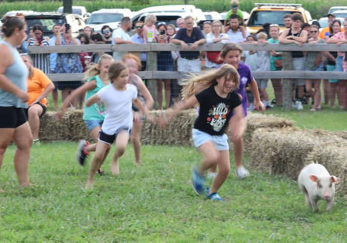Flying pigs meet squealing kids | News | myeasternshoremd.com