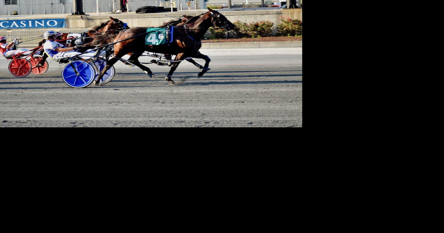 Harness horses with Shore ties close out summer meets ...