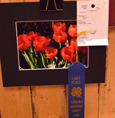 Rachel Jessee crowned fair queen | News | myeasternshoremd.com