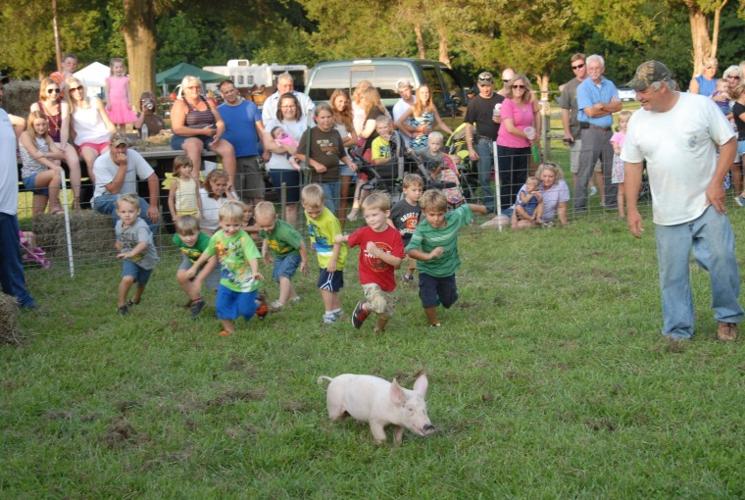 Greased Pig Contest at the Caroline-Dorchester County Fair | Life ...