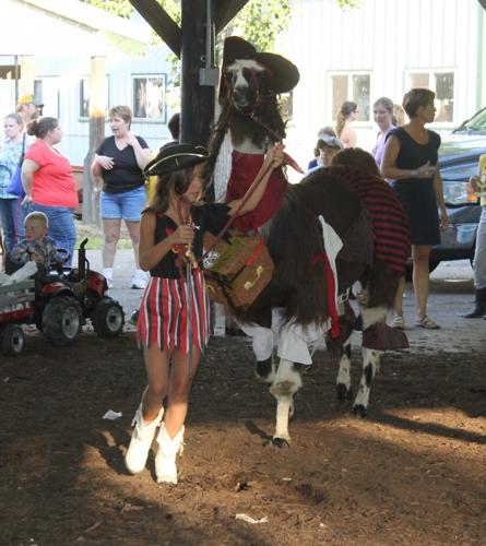 Pretty Animal Contest at the QA County Fair | Featured ...