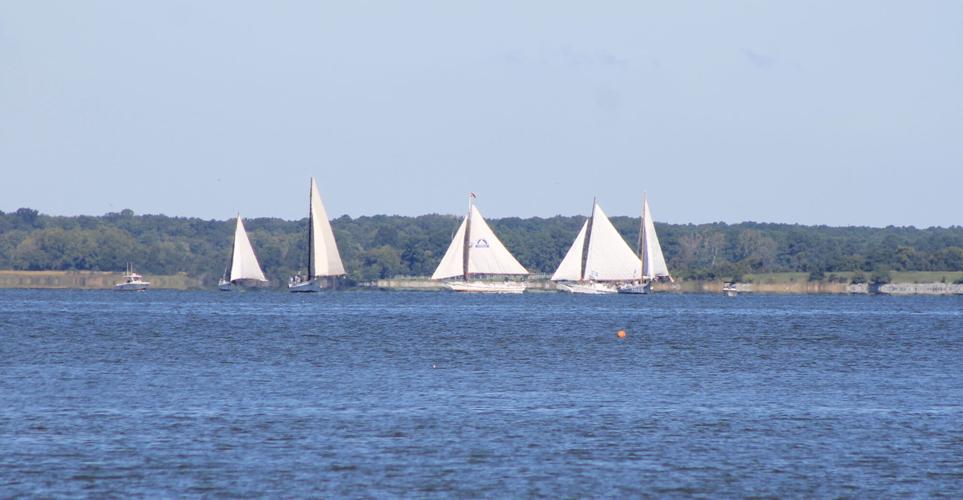Rosie Parks wins Choptank skipjack race | News | myeasternshoremd.com