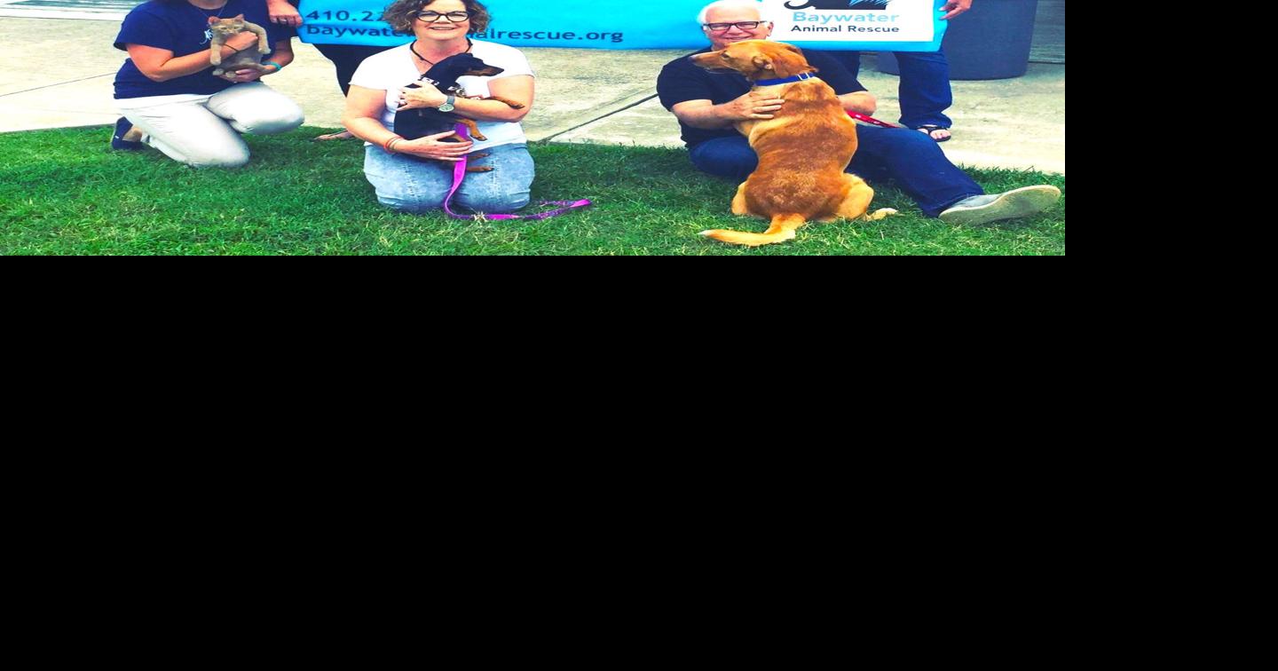 Baywater Animal Rescue to host Bull and Oyster Roast fundraiser | News ...