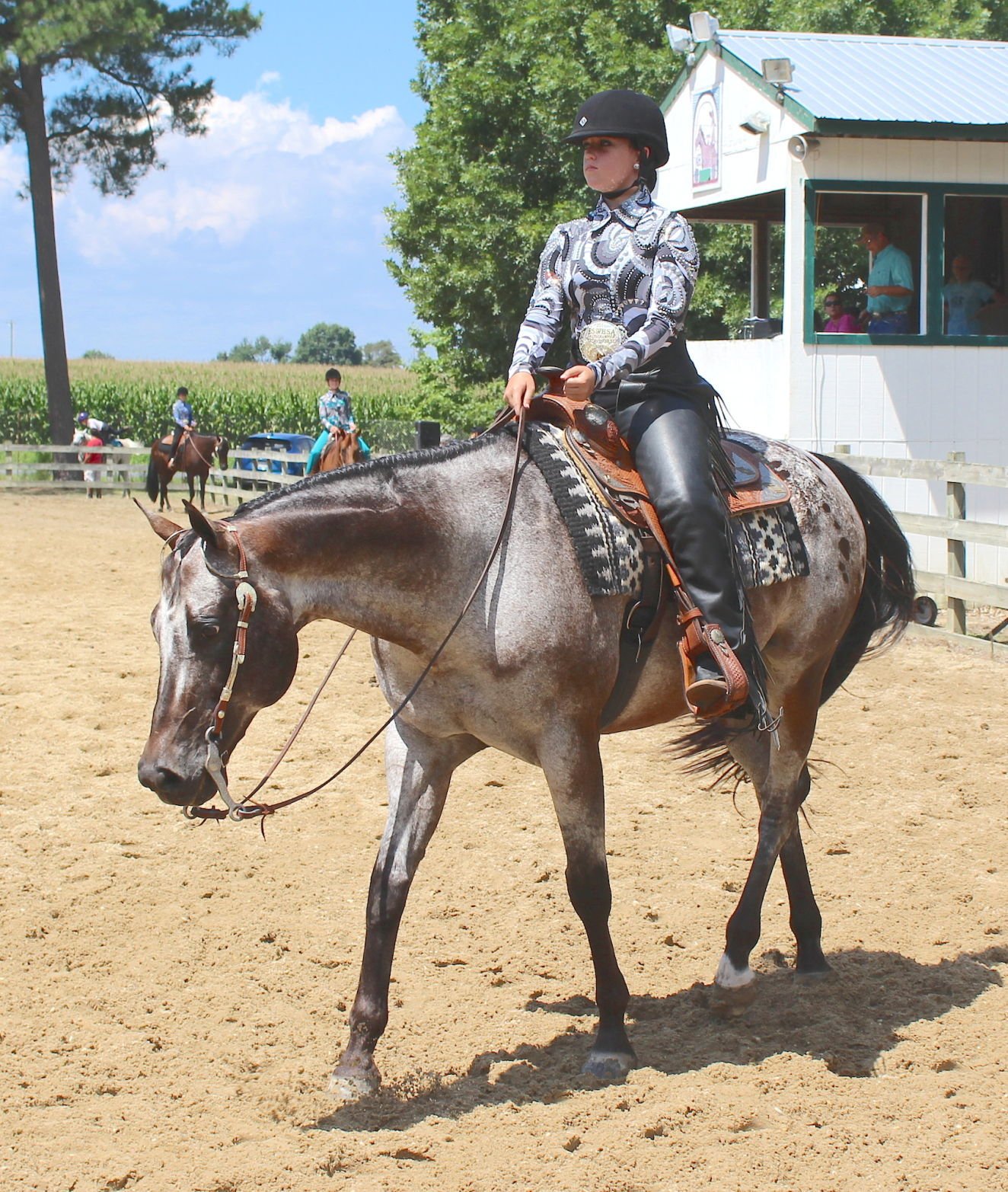Strong performances seen at QA Fair Western 4-H Horse Show | Queen ...