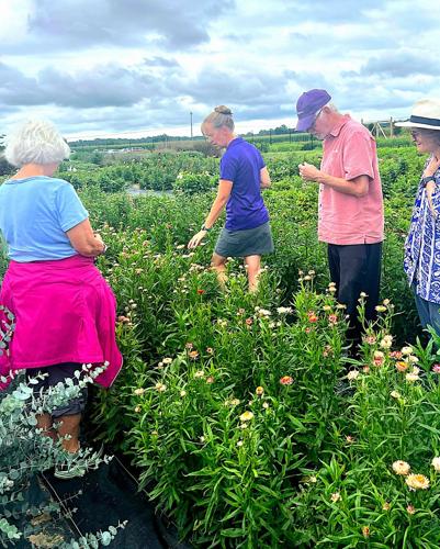 Edible Flower & Farm Tour entices the senses | News | myeasternshoremd.com