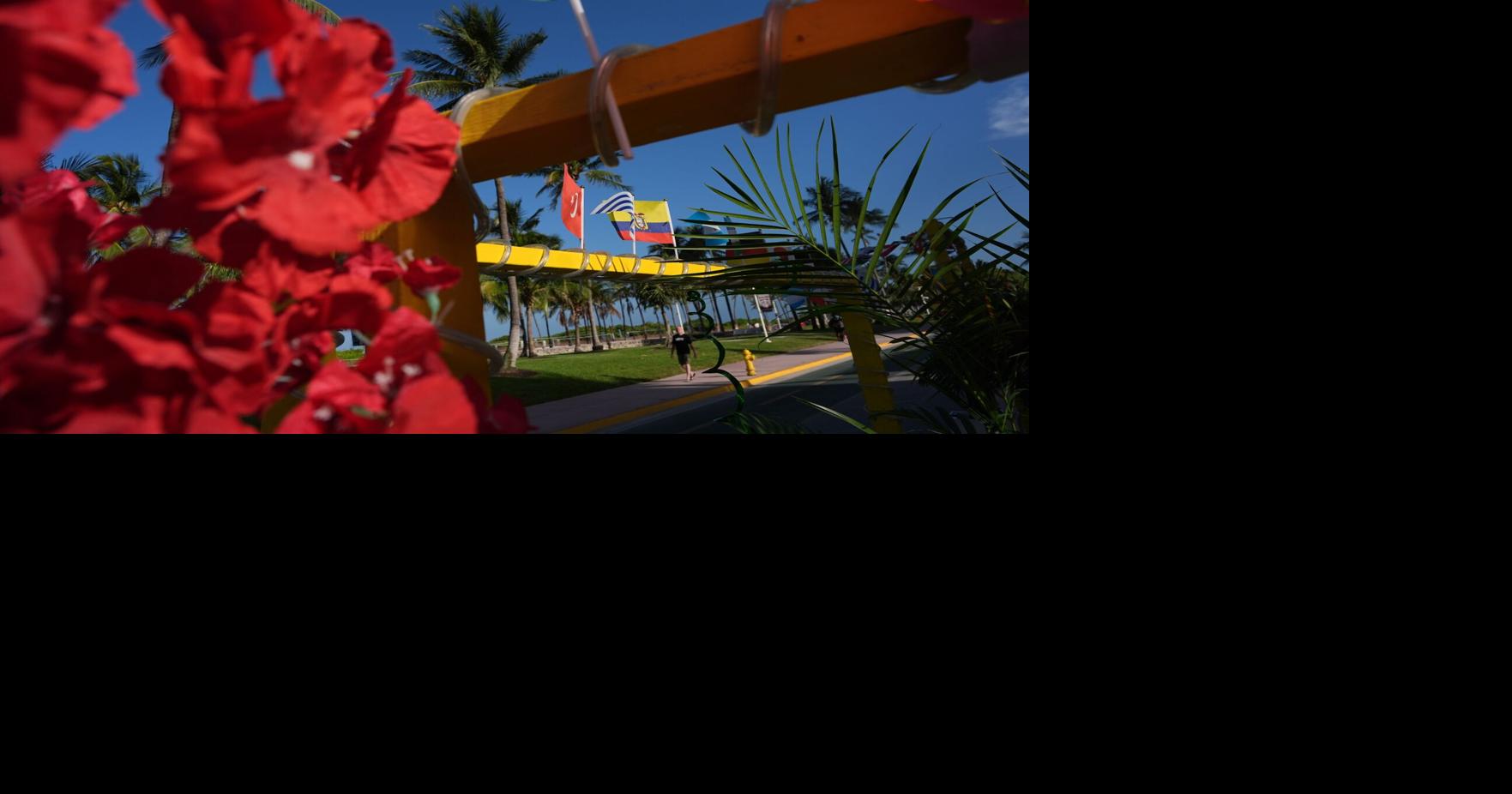 Miami WCup Soccer | World Cup 2026 | myeasternshoremd.com