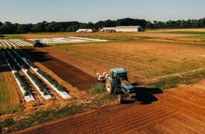 Guest Commentary: Future of Eastern Shore farmland at risk to 'solar ...