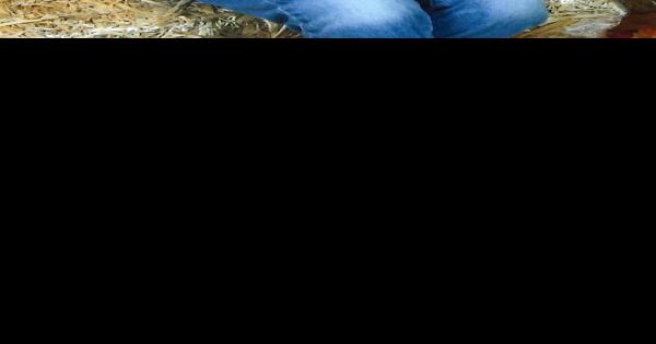 Little Miss Outdoors pageant contestant Erica Collison | News ...