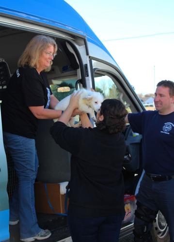 AWL rescues 21 dogs from Louisiana | Spotlight | myeasternshoremd.com