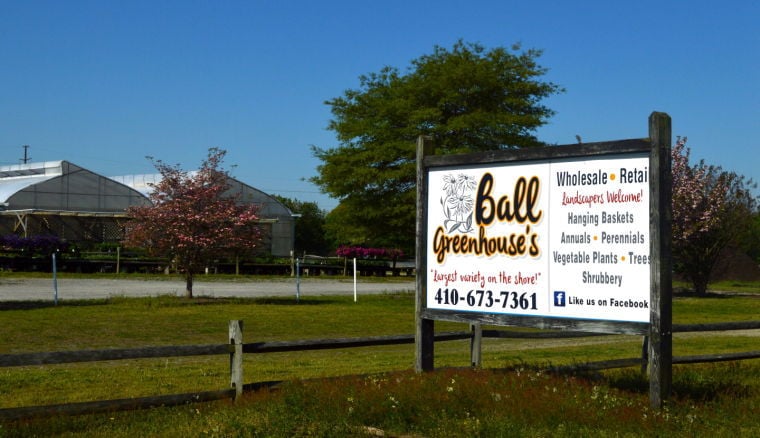 Growing on a tradition of growing | News | myeasternshoremd.com