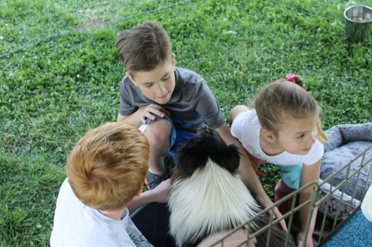 Pecometh Day in Centreville | Featured | myeasternshoremd.com