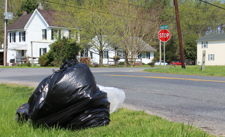 Community turns out for Earth Day Cleanup | News | myeasternshoremd.com
