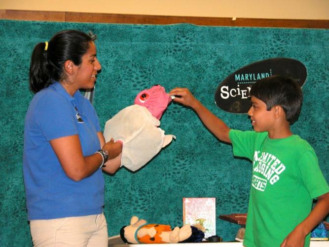 Kcns Week In Pictures Kent County