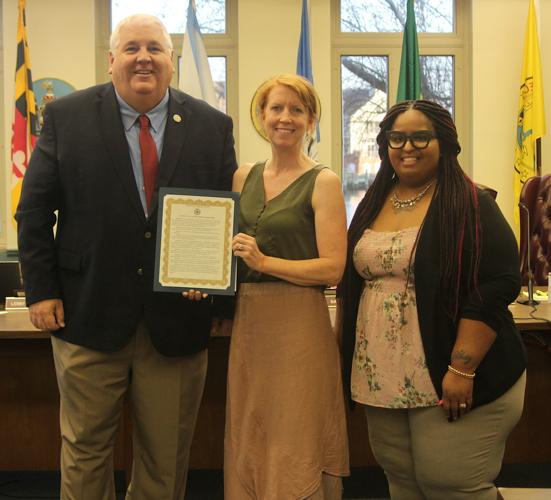 Dorchester Council places six-month moratorium on large solar projects ...