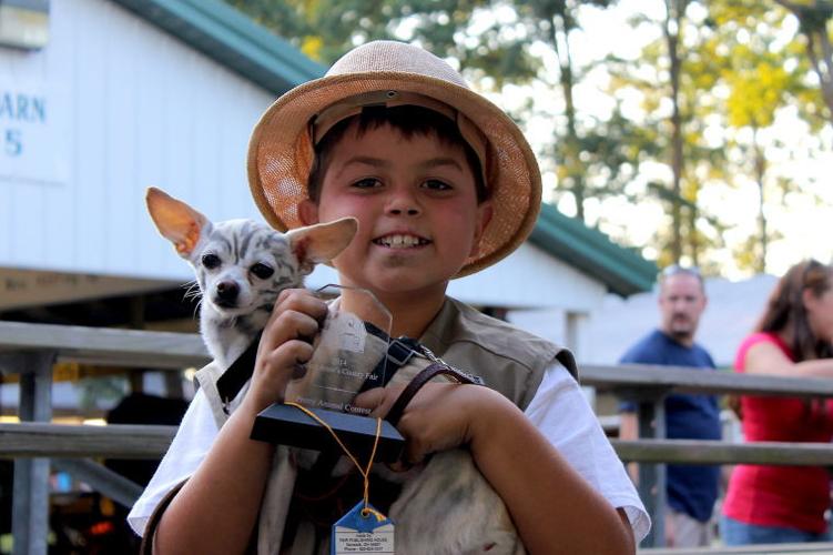 Getting wild at the Pretty Animal Contest at Queen Anne's Fair ...