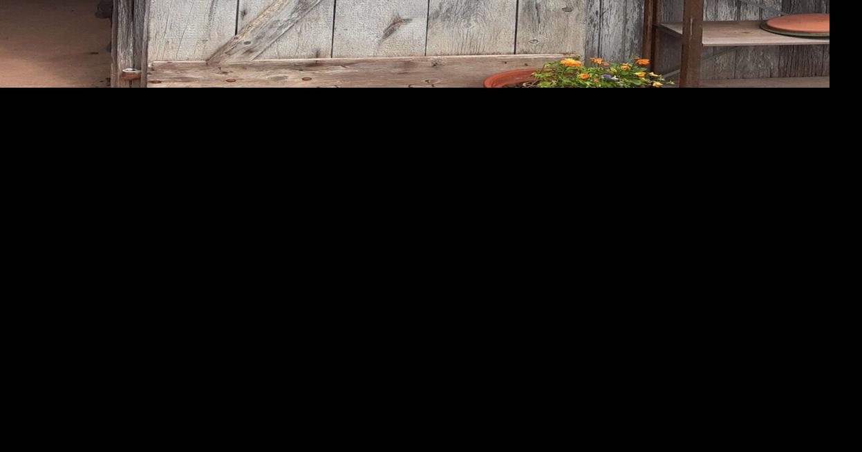 Still Pond's Sassi keeps art of pottery alive | Arts | myeasternshoremd.com