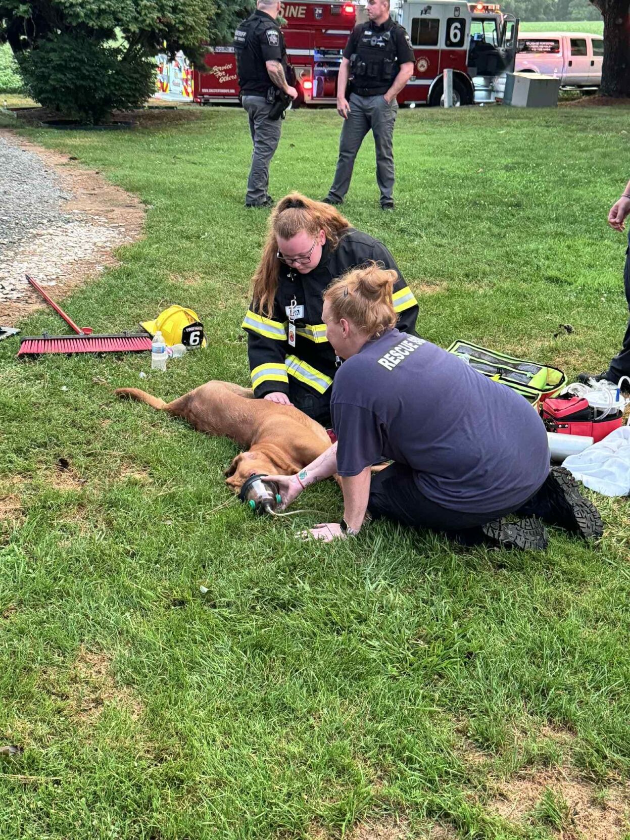 Lightning strike sparks Chestertown house fire; dog rescued and revived ...