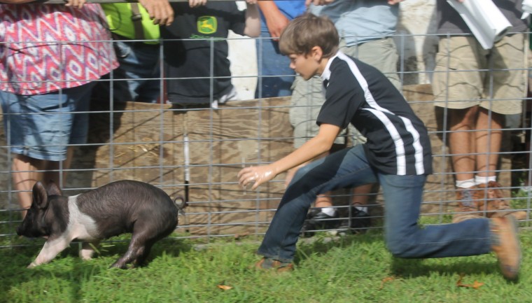 Greased Pig Contest | Featured | myeasternshoremd.com