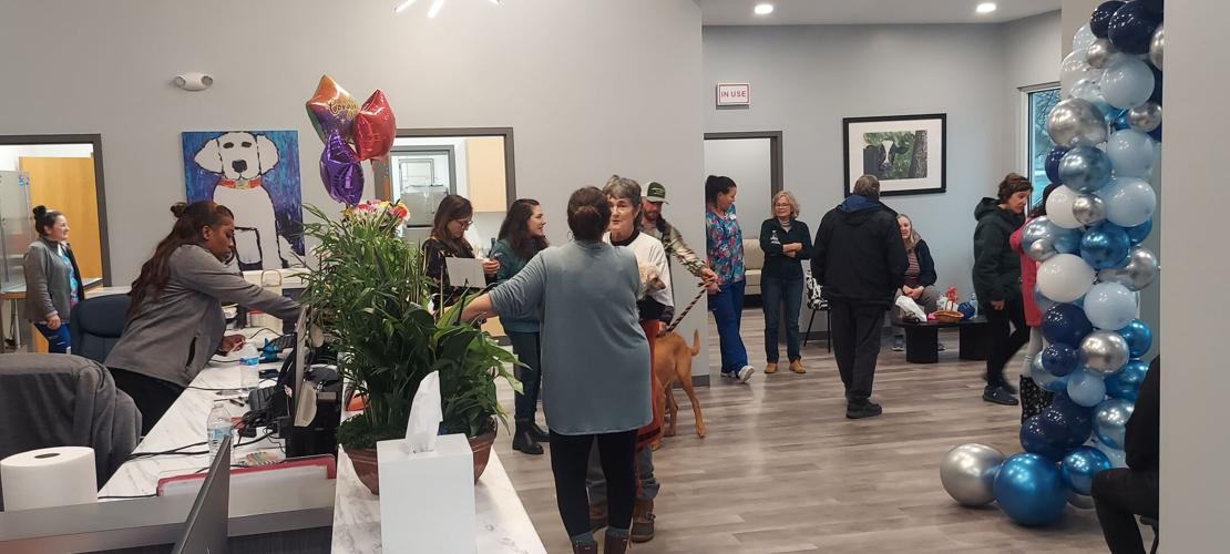 In new location, Galena Animal Medical Clinic is back open for business ...