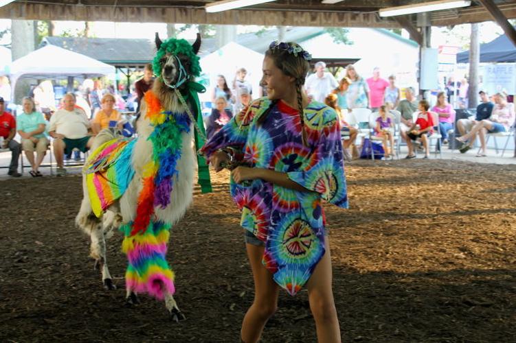 Getting wild at the Pretty Animal Contest at Queen Anne's Fair ...
