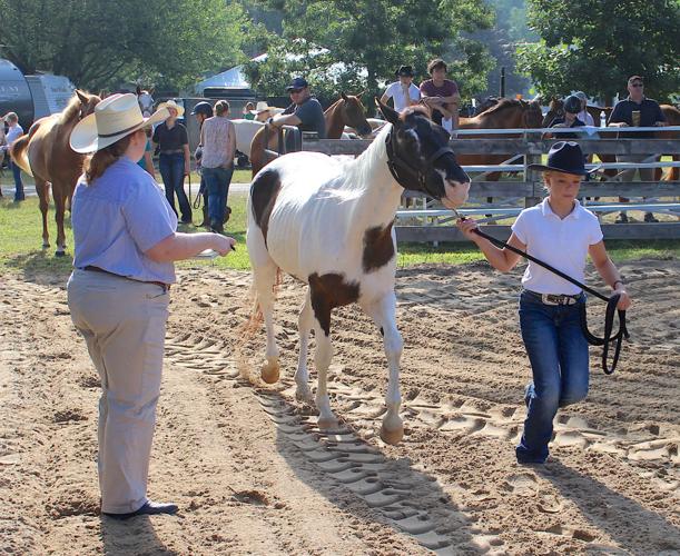 Equestrians prevail at Western Show despite heat | Sports ...