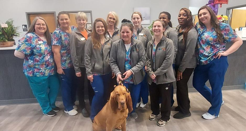 In new location, Galena Animal Medical Clinic is back open for business ...