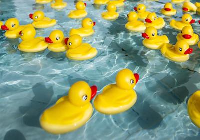 Duck Race Festival to benefit local nonprofits | News ...