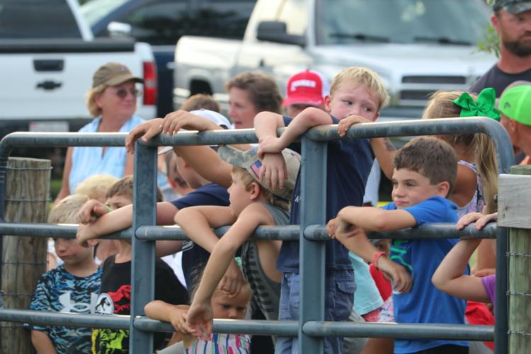 Flying pigs meet squealing kids | News | myeasternshoremd.com