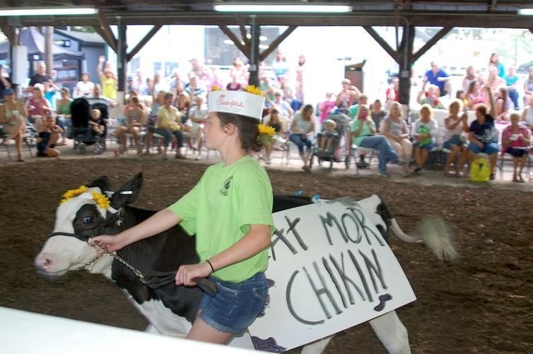 Queen Anne's County Fair — Pretty Animal Contest | Featured ...