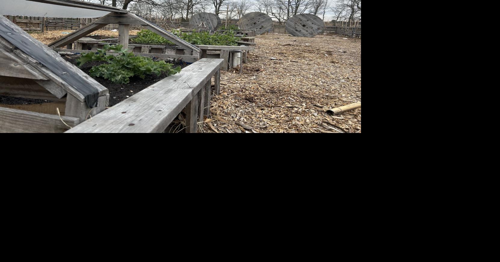 Minary’s Dream Alliance partners with local businesses for coffee ...