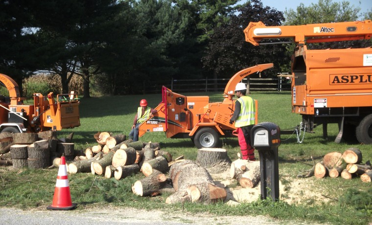 Delmarva removing trees around Kent | Kent County | myeasternshoremd.com
