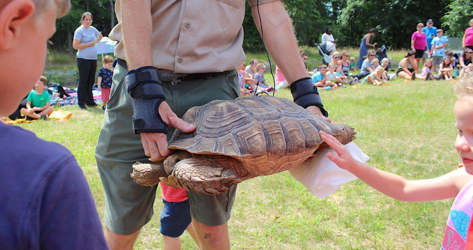 Traveling reptile show enthralls hundreds of KI kids | Community ...