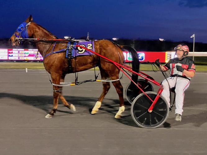 Trotters, pacers with Mid-Shore connections fare well at Rosecroft ...