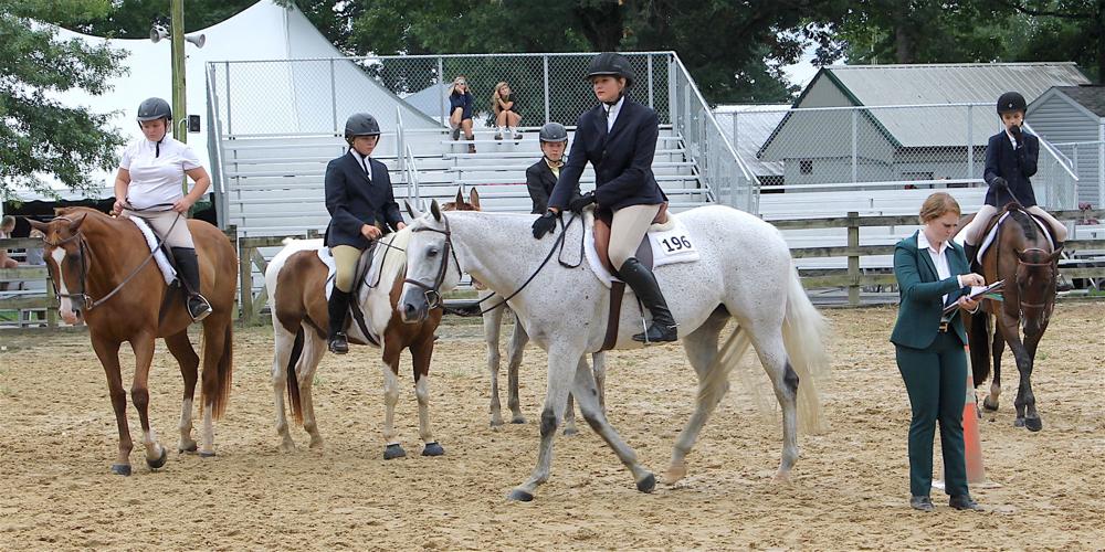 English riders slosh through the show ring | Outdoors ...