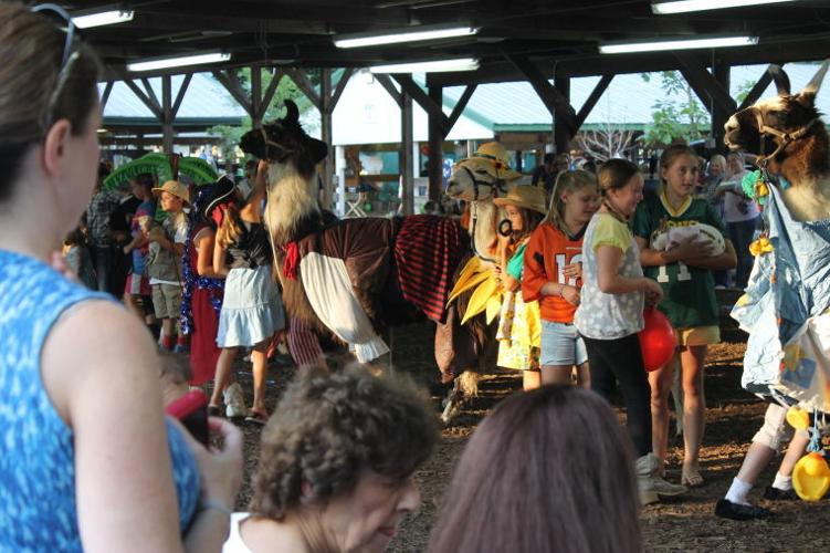Getting wild at the Pretty Animal Contest at Queen Anne's Fair ...