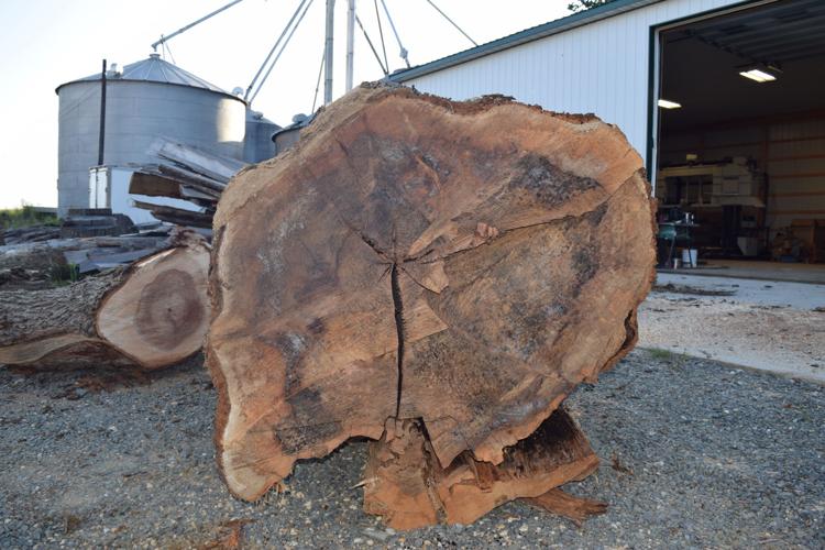 Wood Ingenuity keeps legacy of 150-year-old tree alive | News ...