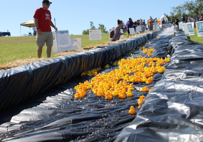 Ducks race to raise funds for community projects | News ...