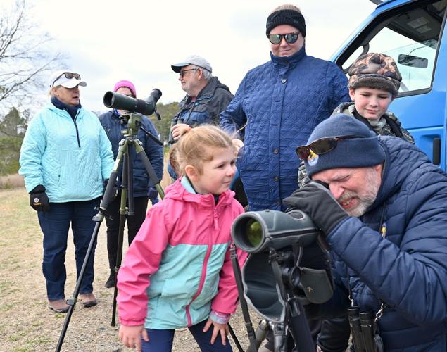 Eagle Festival takes flight at Blackwater | News | myeasternshoremd.com