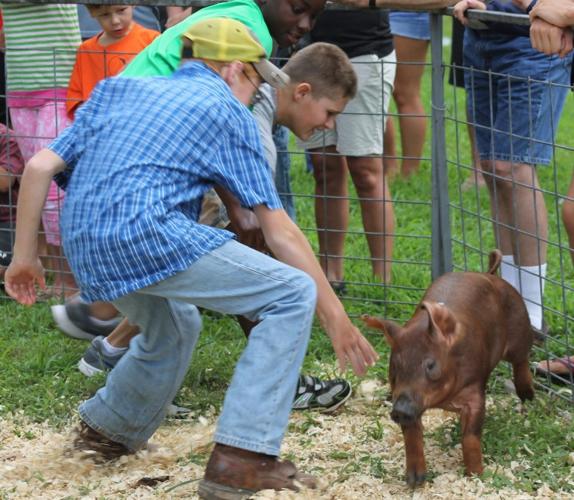 Greased Pig Contest | Featured | myeasternshoremd.com