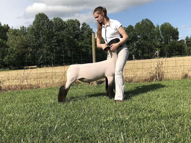 Queen Anne’s County 4-H hosts Eastern Shore Spring Show | News ...