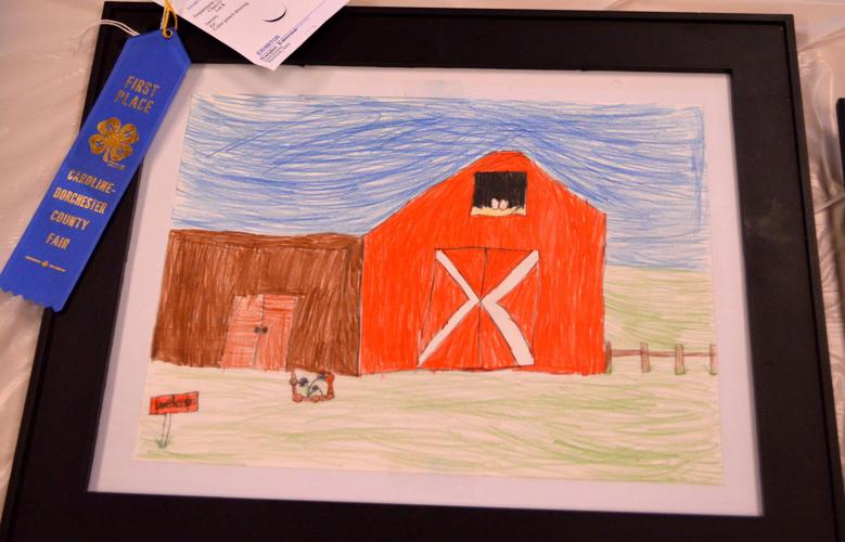 Rachel Jessee crowned fair queen | News | myeasternshoremd.com