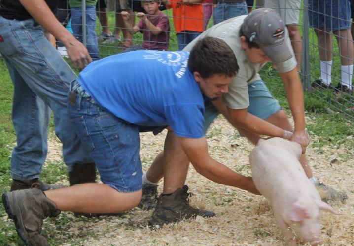 Greased Pig Contest | Featured | myeasternshoremd.com
