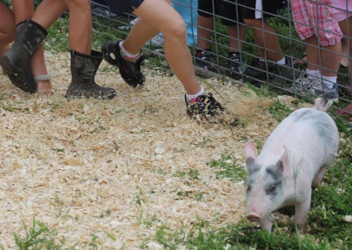 Greased Pig Contest | Featured | myeasternshoremd.com