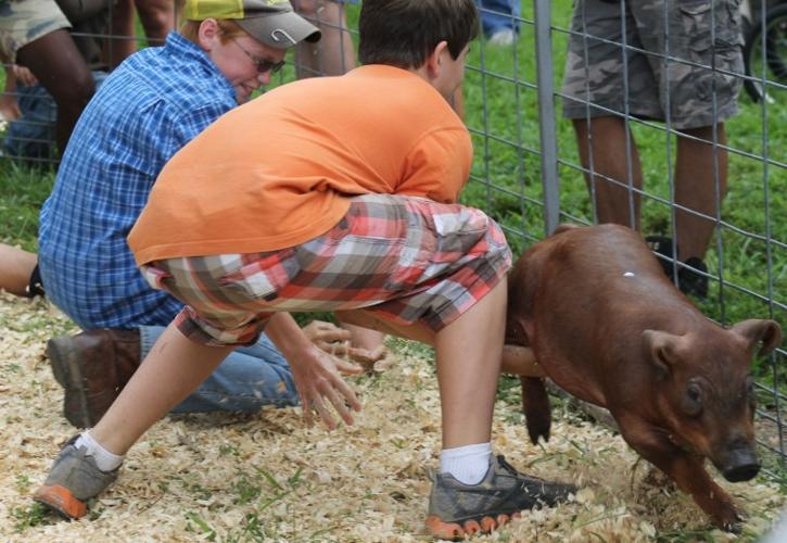 Greased Pig Contest | Featured | myeasternshoremd.com