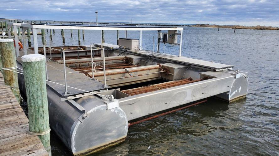 Using sunshine to power oyster production | News | myeasternshoremd.com
