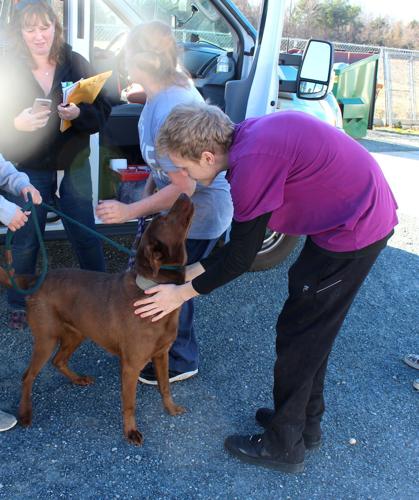AWL rescues 21 dogs from Louisiana | Spotlight | myeasternshoremd.com